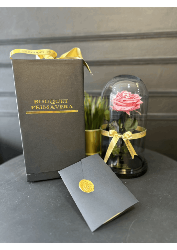 Rosa Rosada Preservada